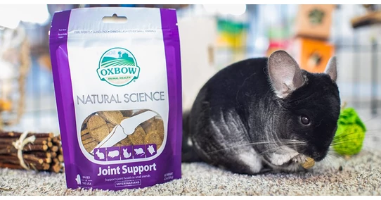 A KIEGÉSZÍTŐK MEGISMERÉSE: NATURAL SCIENCE JOINT SUPPORT